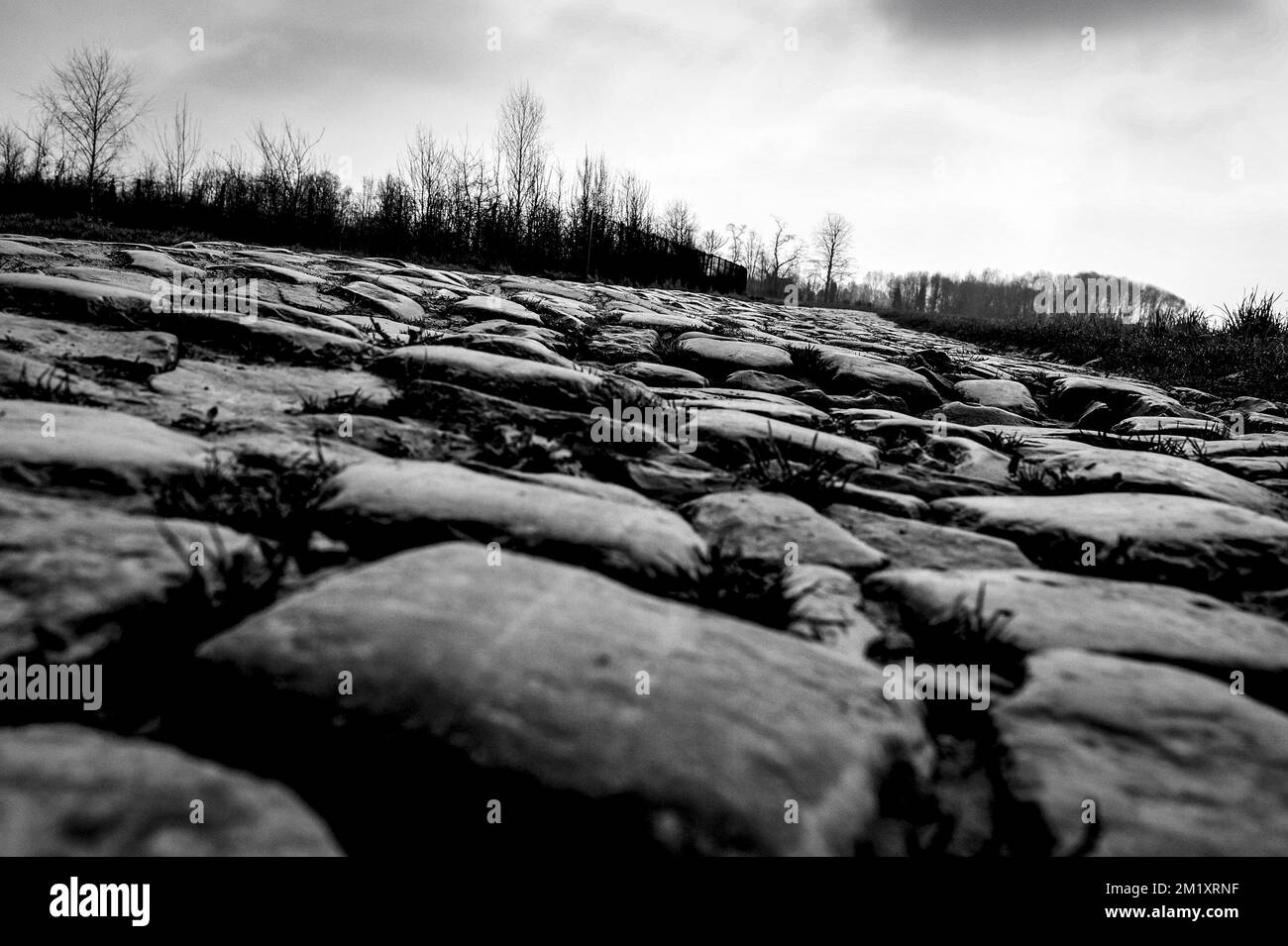 Carrefour de larbre hi-res stock photography and images - Alamy