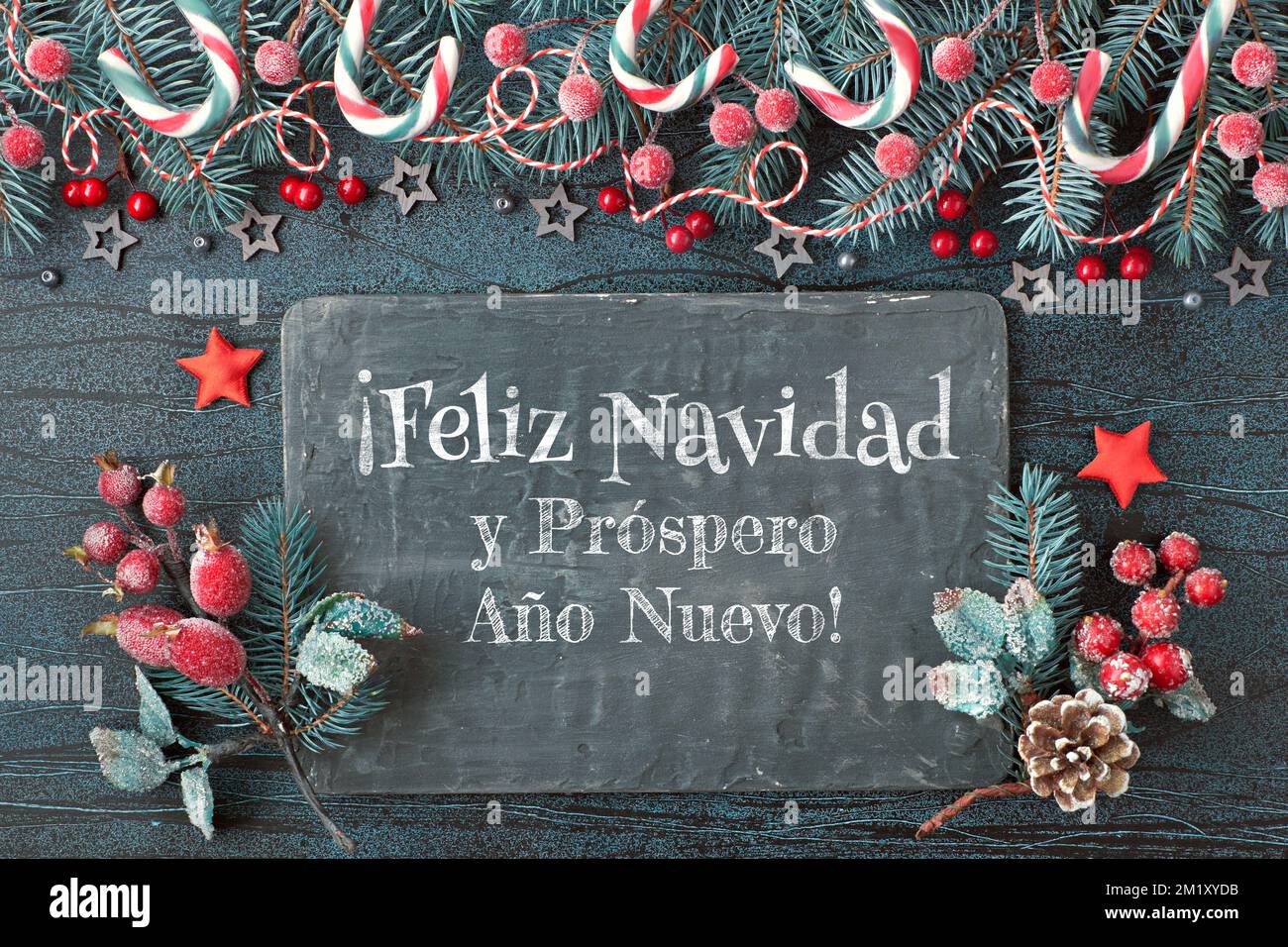 Christmas background with fir twigs, red berries and candy canes with ...