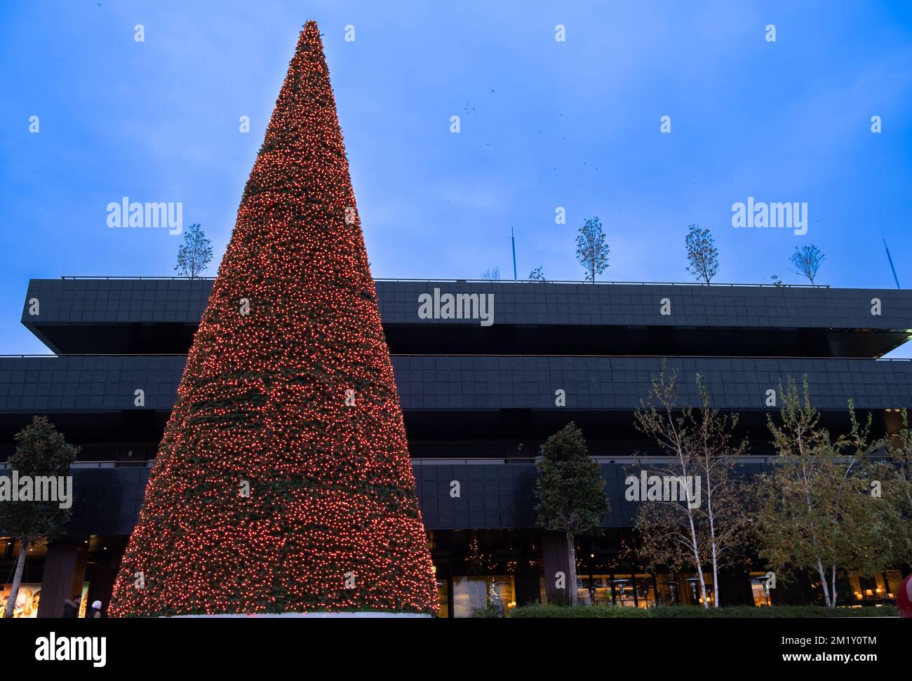 Red light christmas tree and sky. Christmas tree copy space concept ...