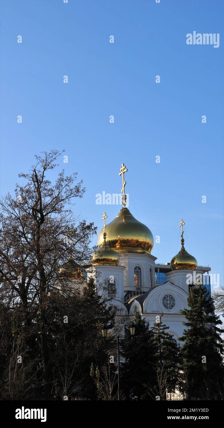 Military Cathedral of the Holy Blessed Prince Alexander Nevsky, visible ...