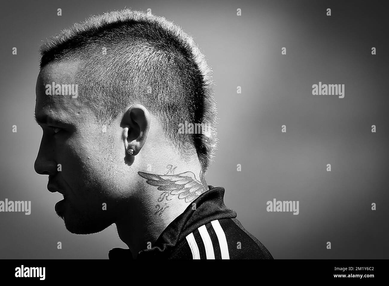 Wales euro 2016 team Black and White Stock Photos & Images - Alamy