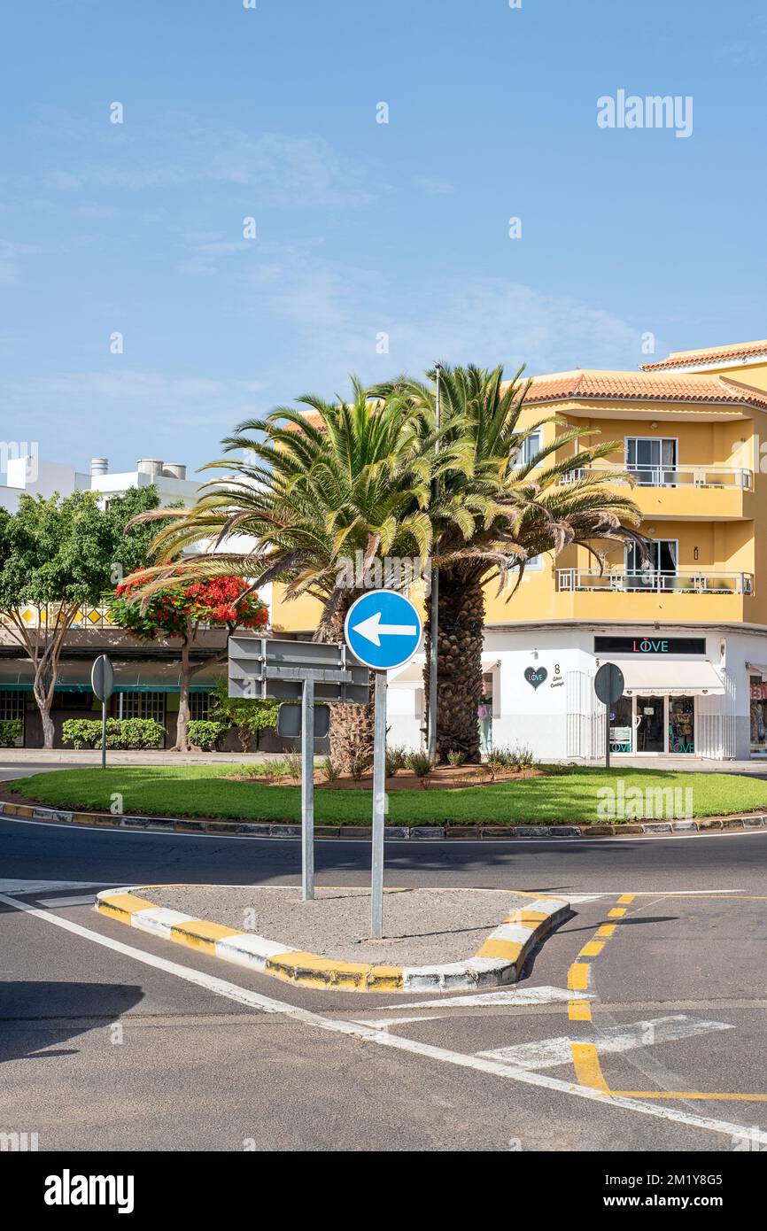 Main roundabout with large palm trees and green lawn and empty road ...