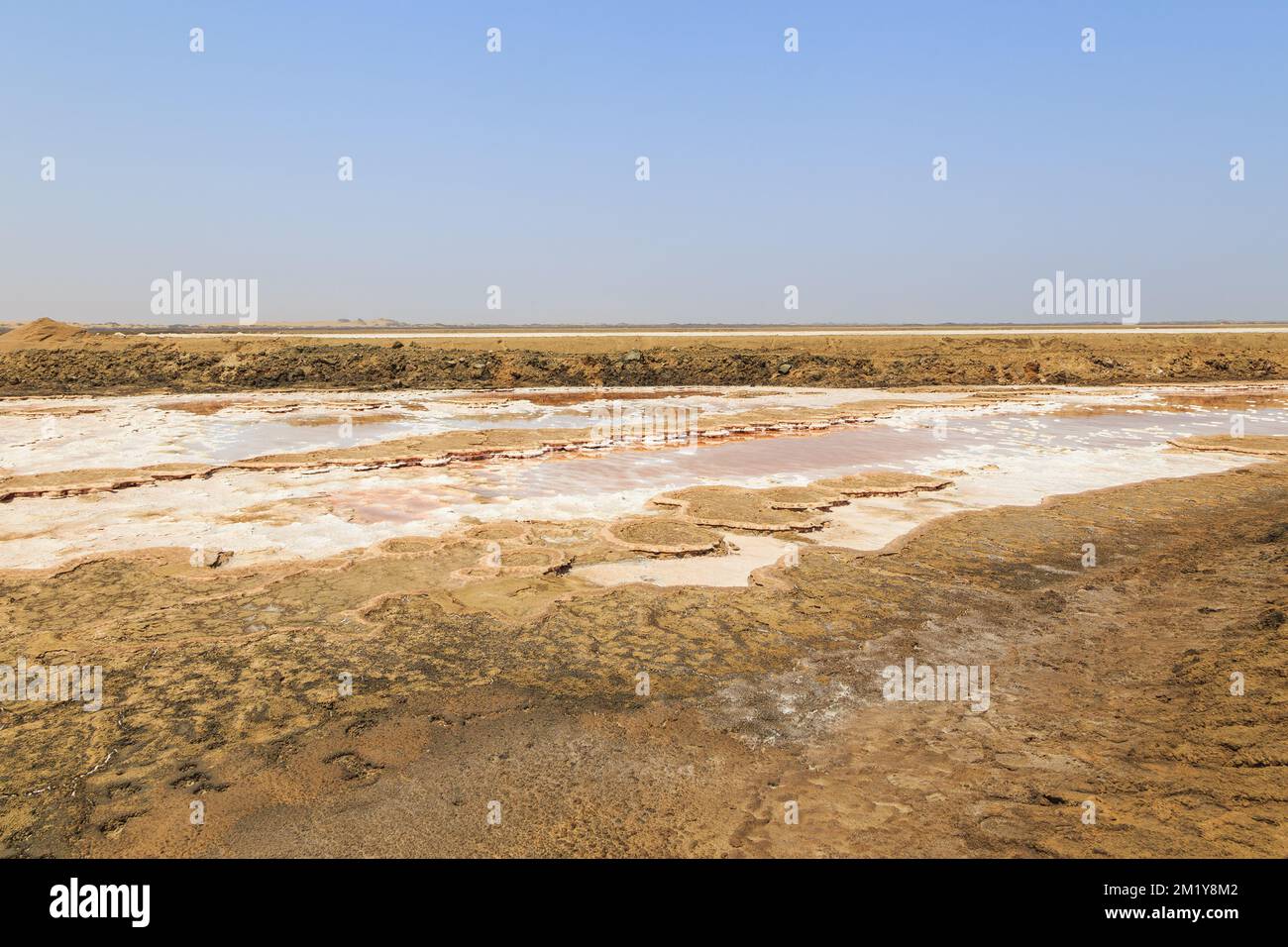 Walvis Bay Salt Holdings. The largest producer of solar sea salt in sub ...