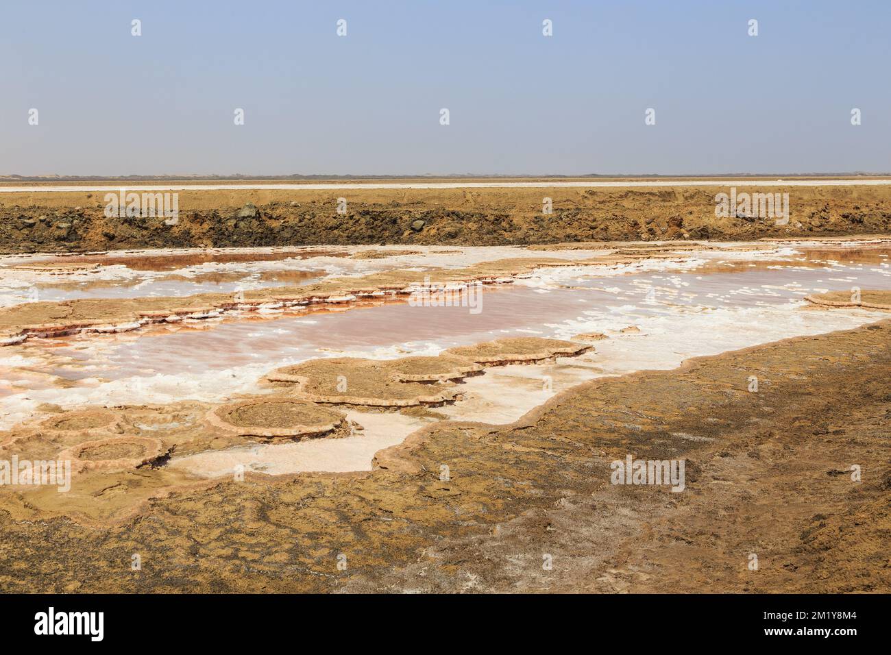 Walvis Bay Salt Holdings. The largest producer of solar sea salt in sub ...