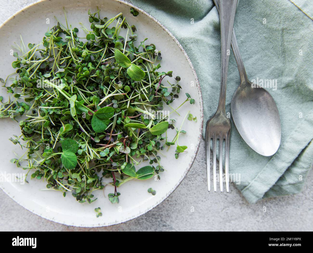 Top view of fresh microgreen sprouts on plate. Concrete background ...