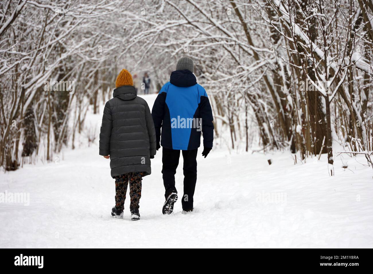 Woman and man walking in winter park, rear view. Couple in warm clothes ...