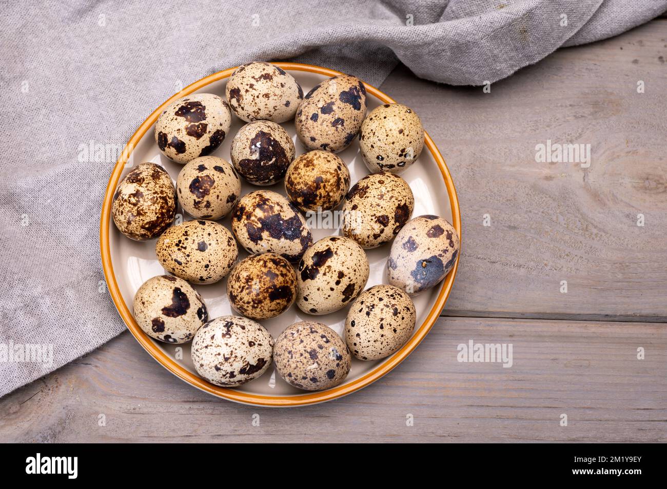 Fresh small spotted partridge or quail bird eggs uncooked Stock Photo ...