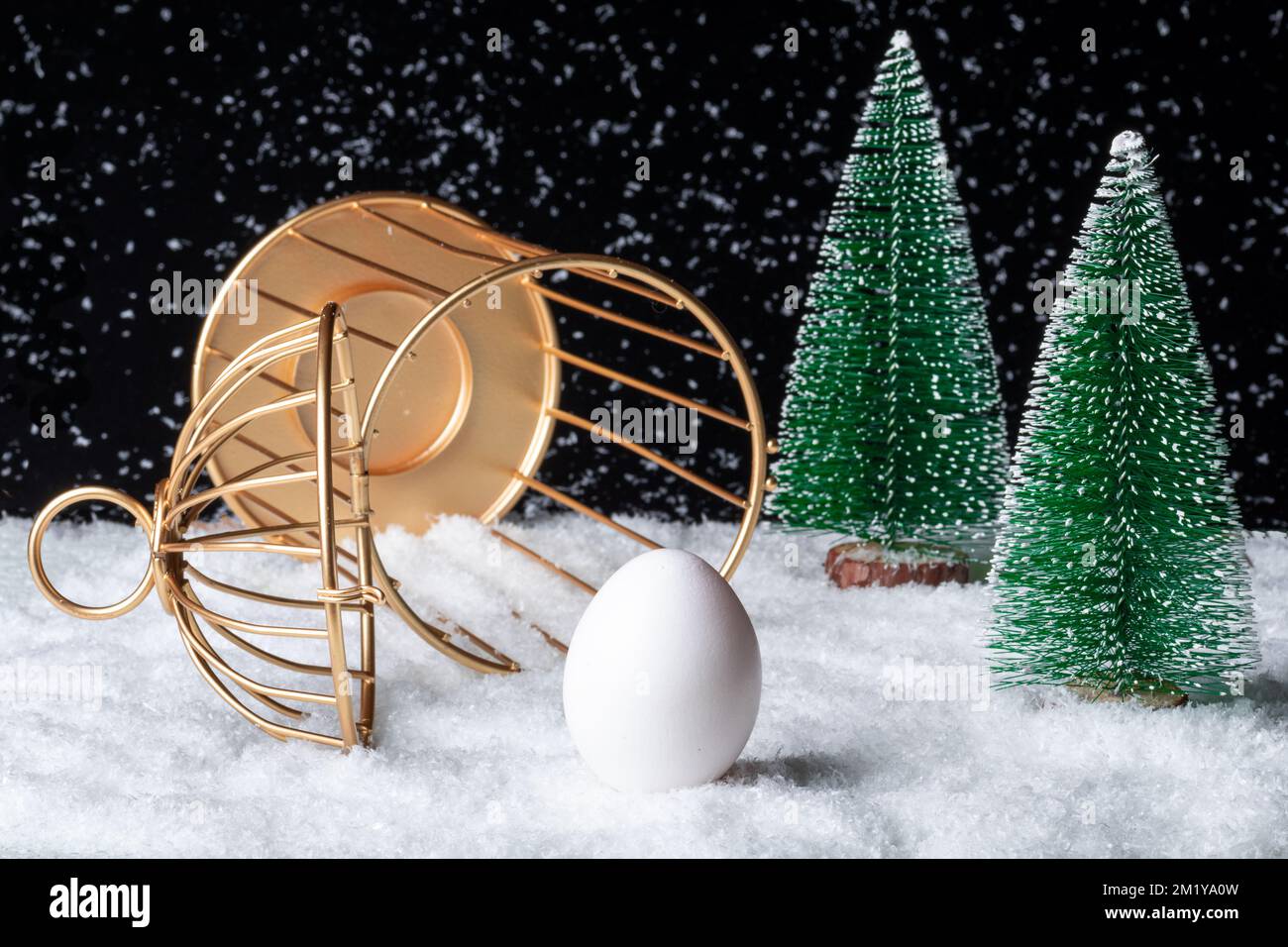 An inverted open cage with an egg outside in a snowy forest at night ...