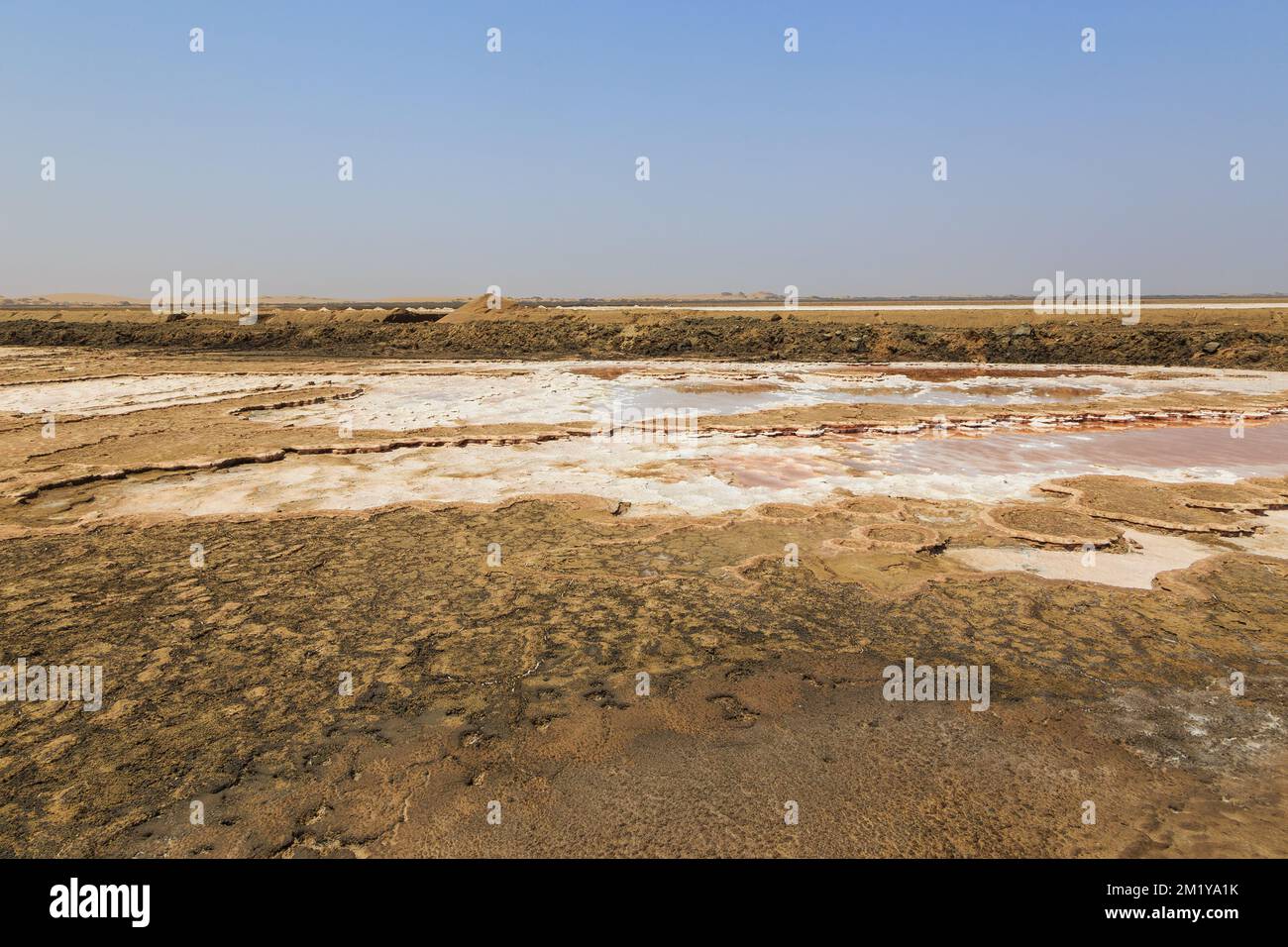 Walvis Bay Salt Holdings. The largest producer of solar sea salt in sub ...