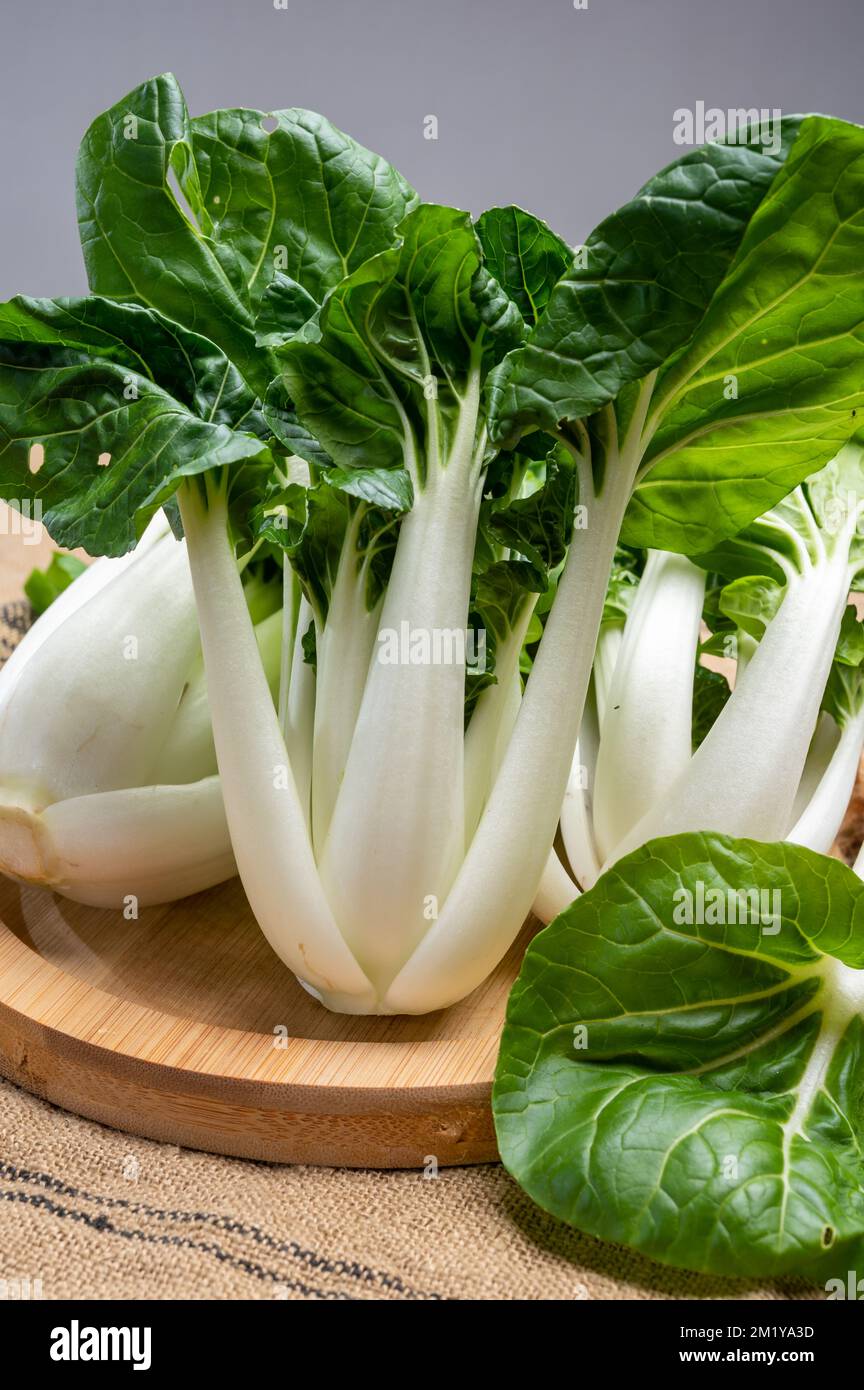 Young fresh organic white bok choy or bak choi Chinese cabbage ready to ...