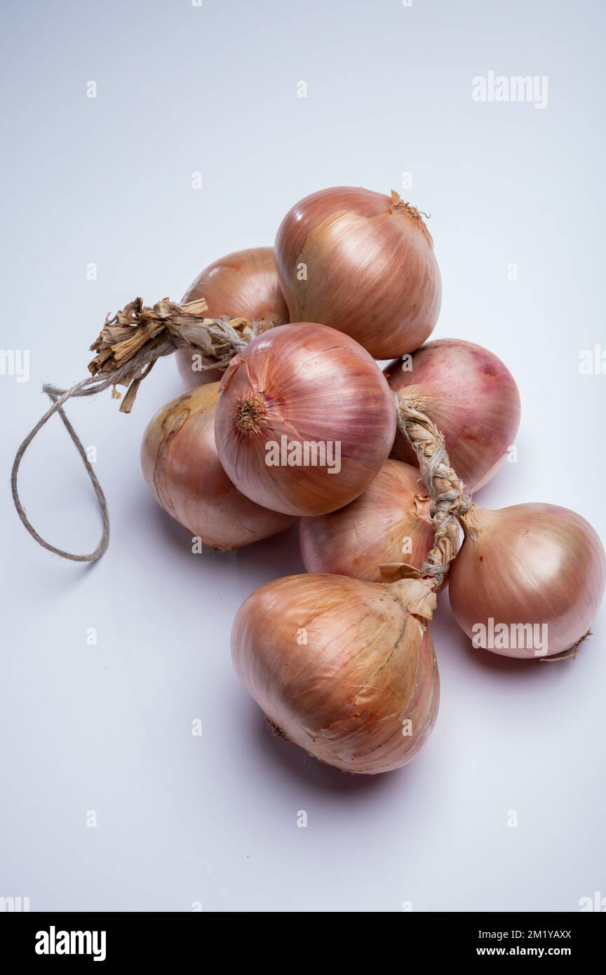 Bunch of french AOP pink onions from Roscoff village in Brittany ...
