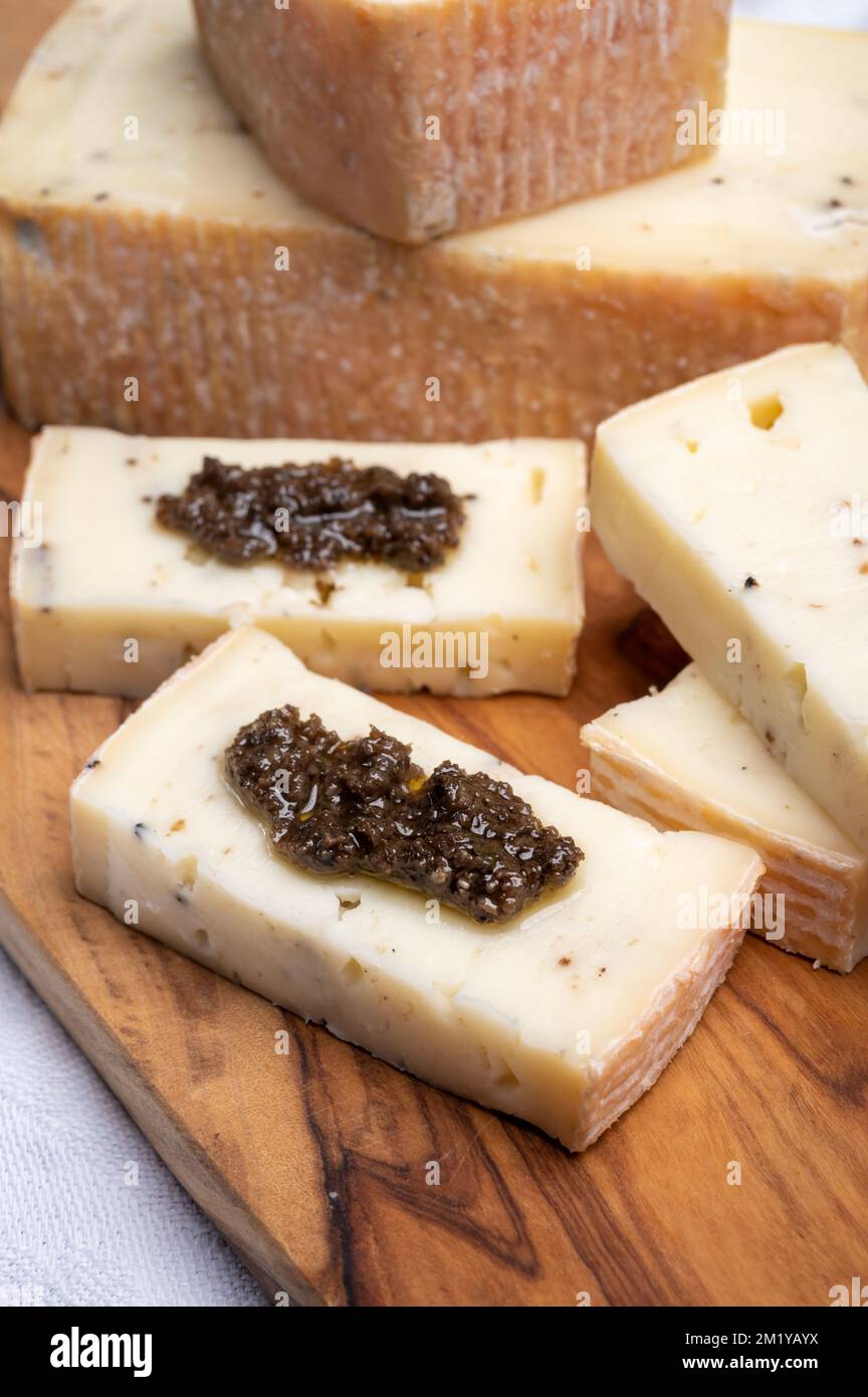 Italian cheese collection, yellow taleggio cheese with black truffles ...