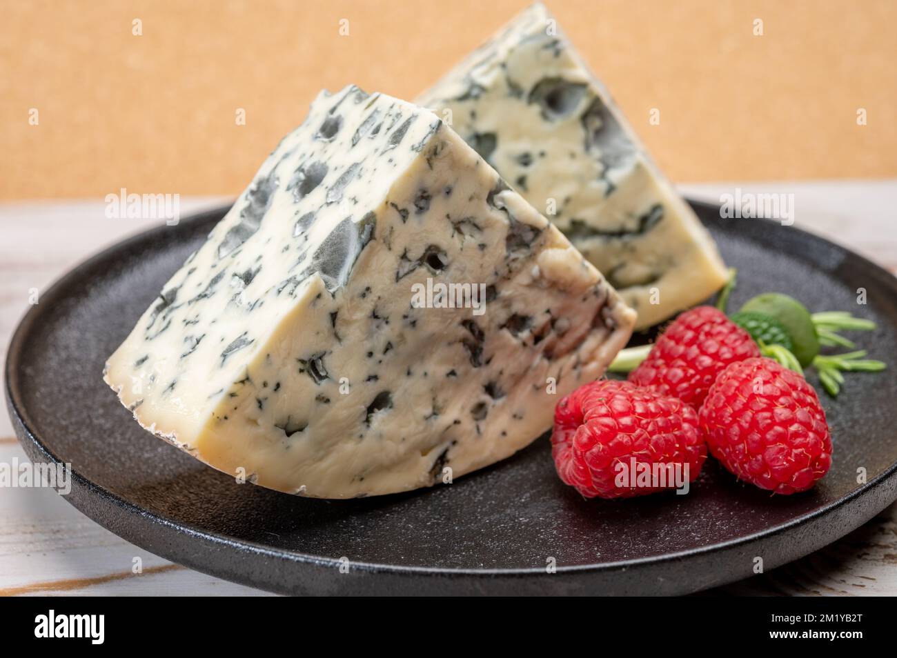 Cheese collection, piece of French blue cheese auvergne or fourme d ...