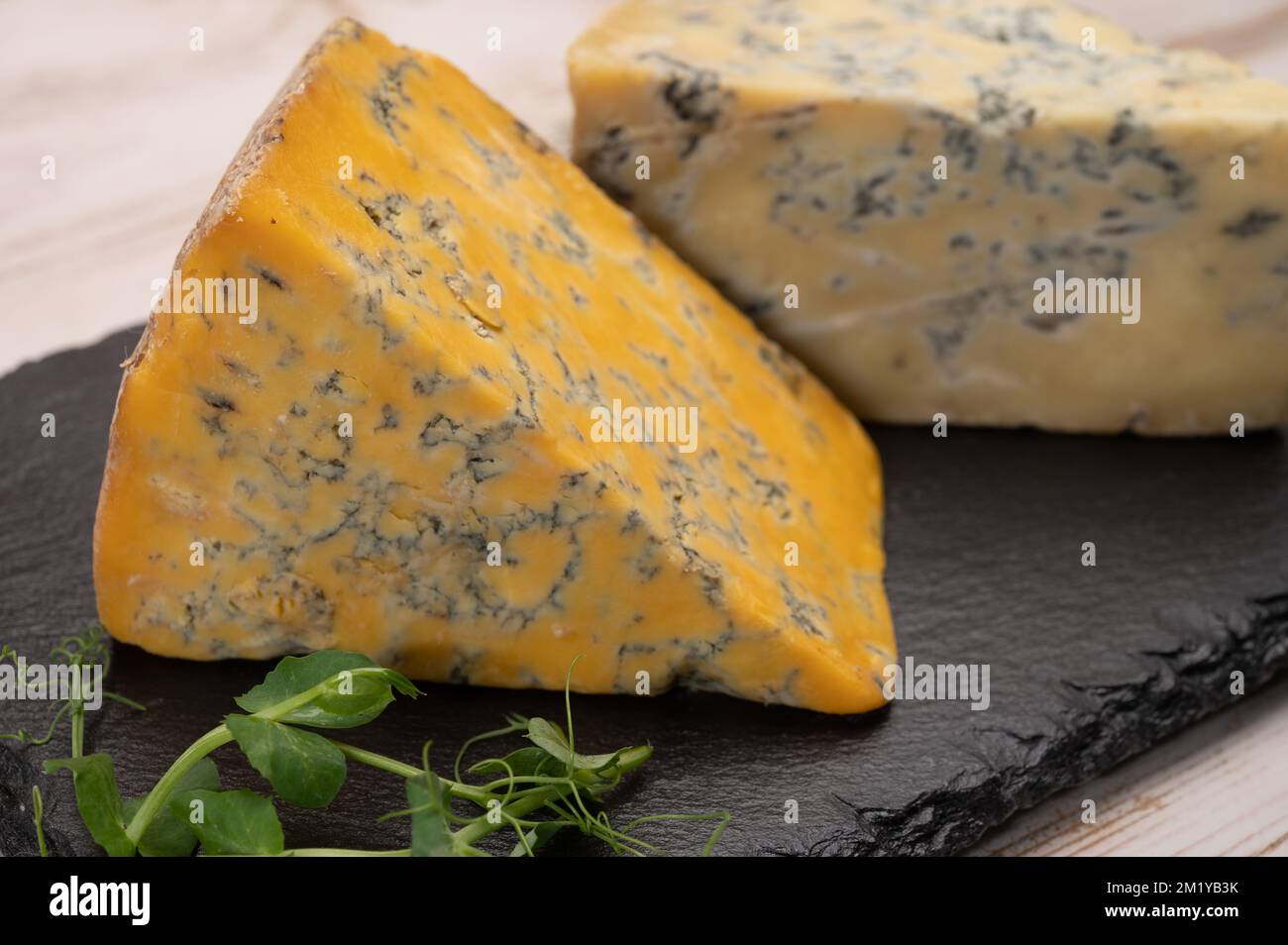 Cheese collection, English old shropshire blue and stilton blue cheeses ...