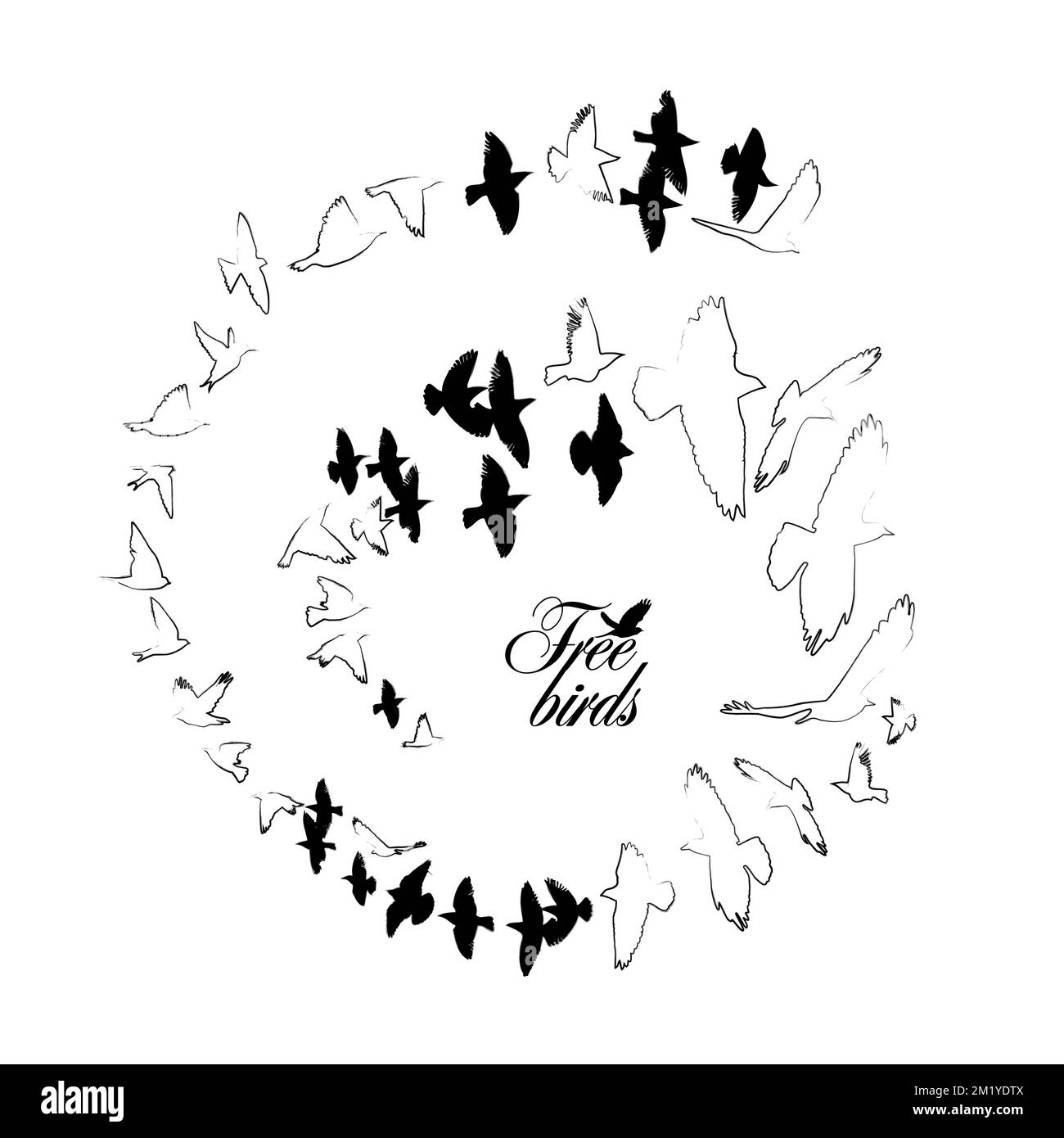 Flying birds in the sky. Abstract logo spiral. Birds frame. Vector ...