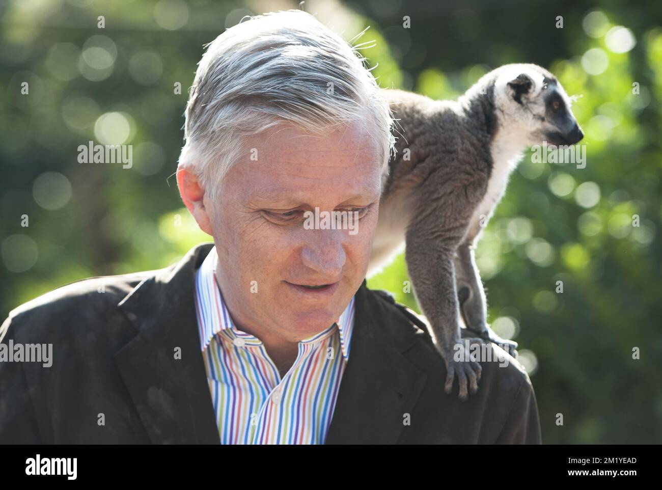 King Philippe - Filip of Belgium pictured with a lemur on his shoulders ...