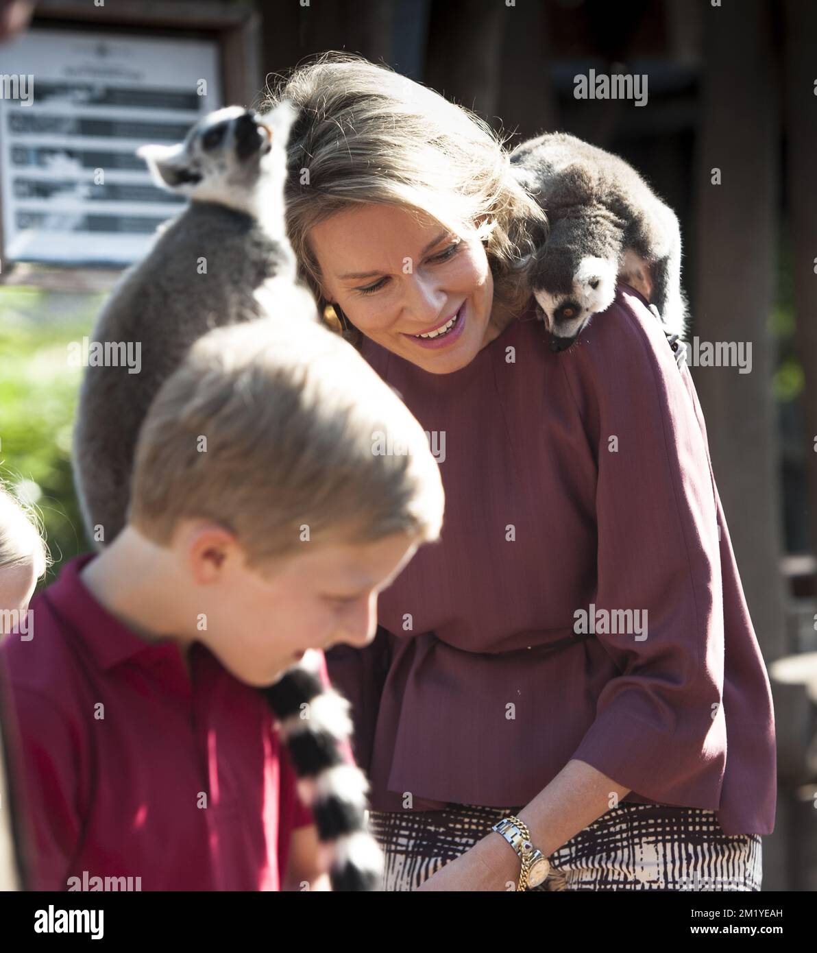 Queen Mathilde of Belgium and Prince Emmanuel pictured with a lemur on ...