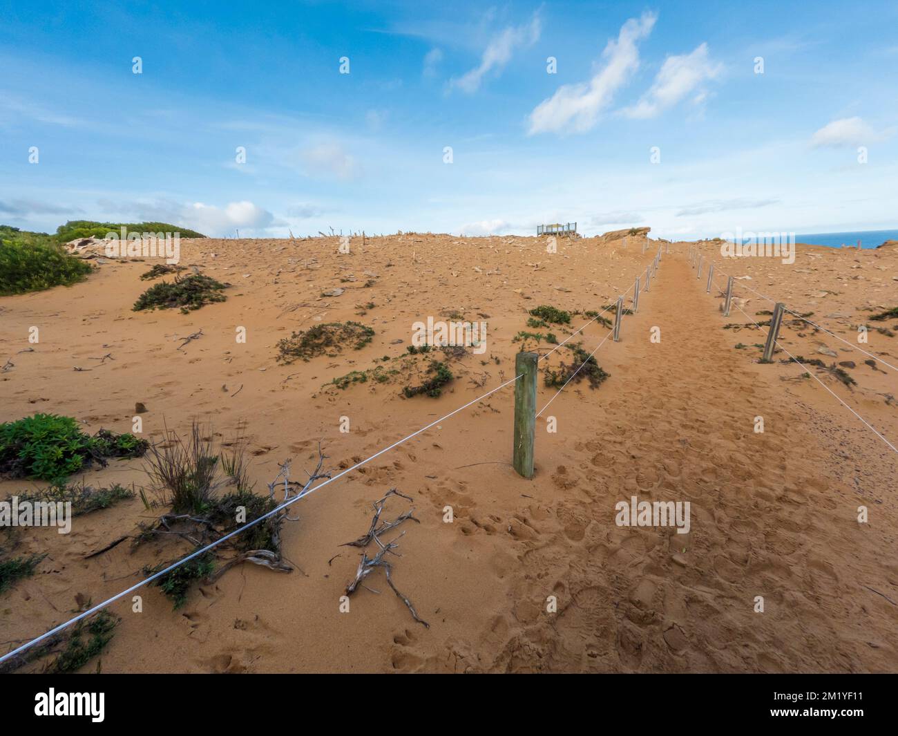 Photograph of the dirt track leading to the viewing platform in the ...
