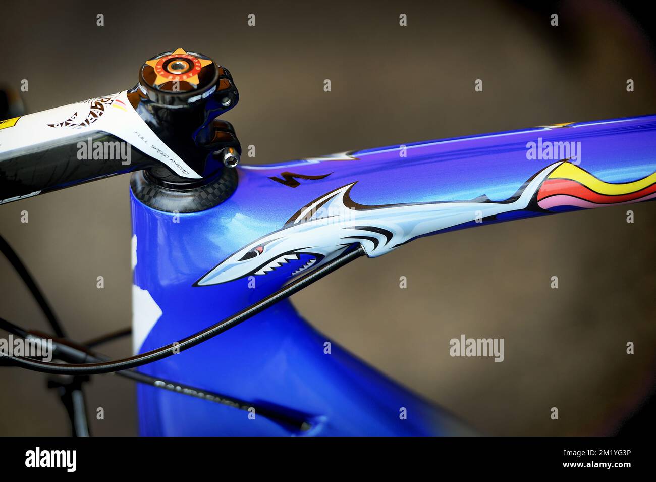 Illustration picture shows a shark on the bike of Italian Vincenzo ...