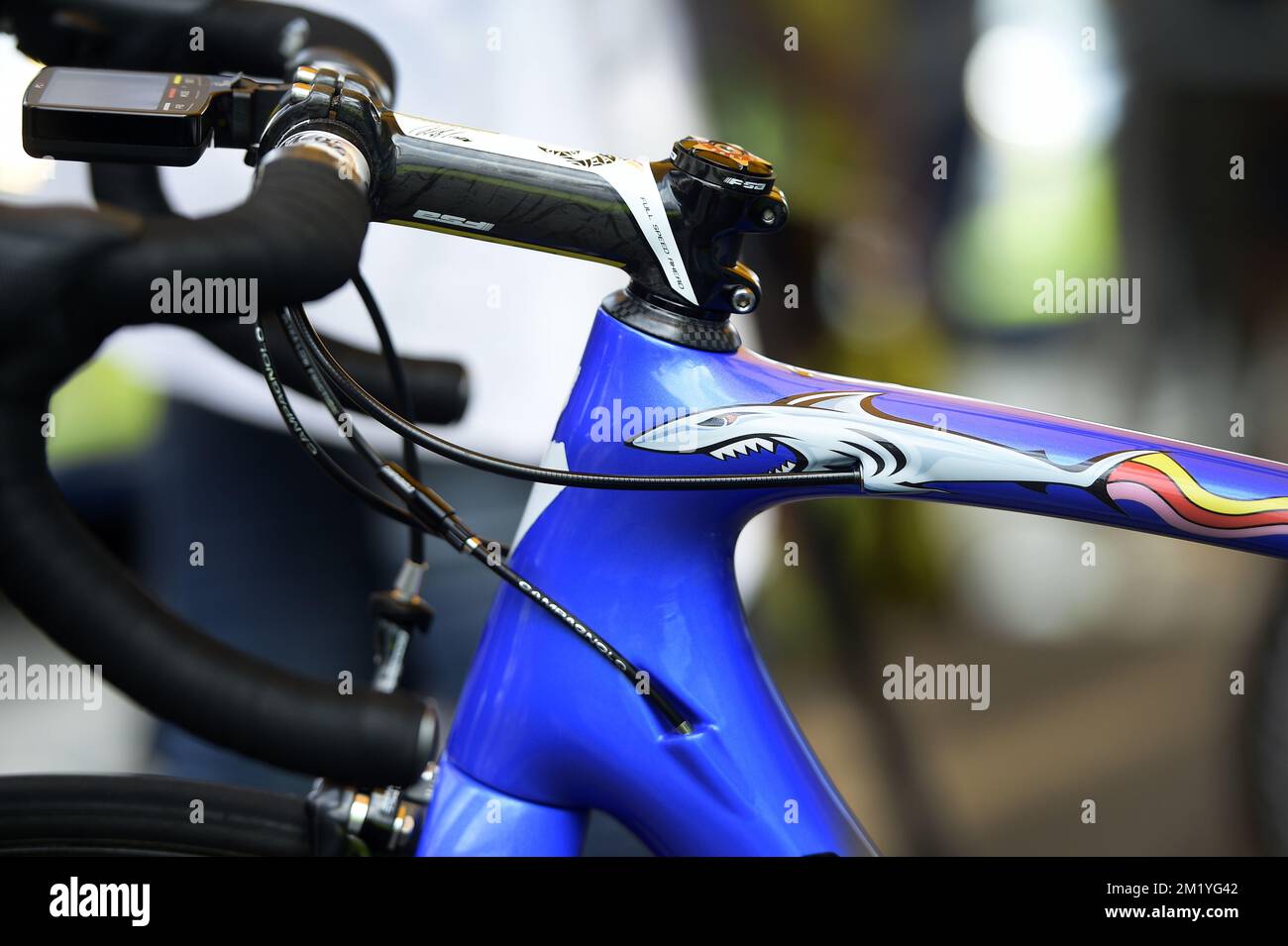 Illustration picture shows a shark on the bike of Italian Vincenzo ...