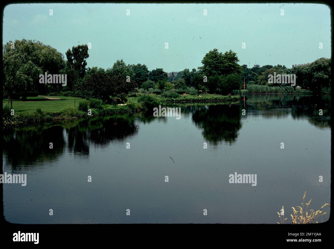 Boston Fens, Muddy River and Fenway Garden Club , Parks, Rivers ...