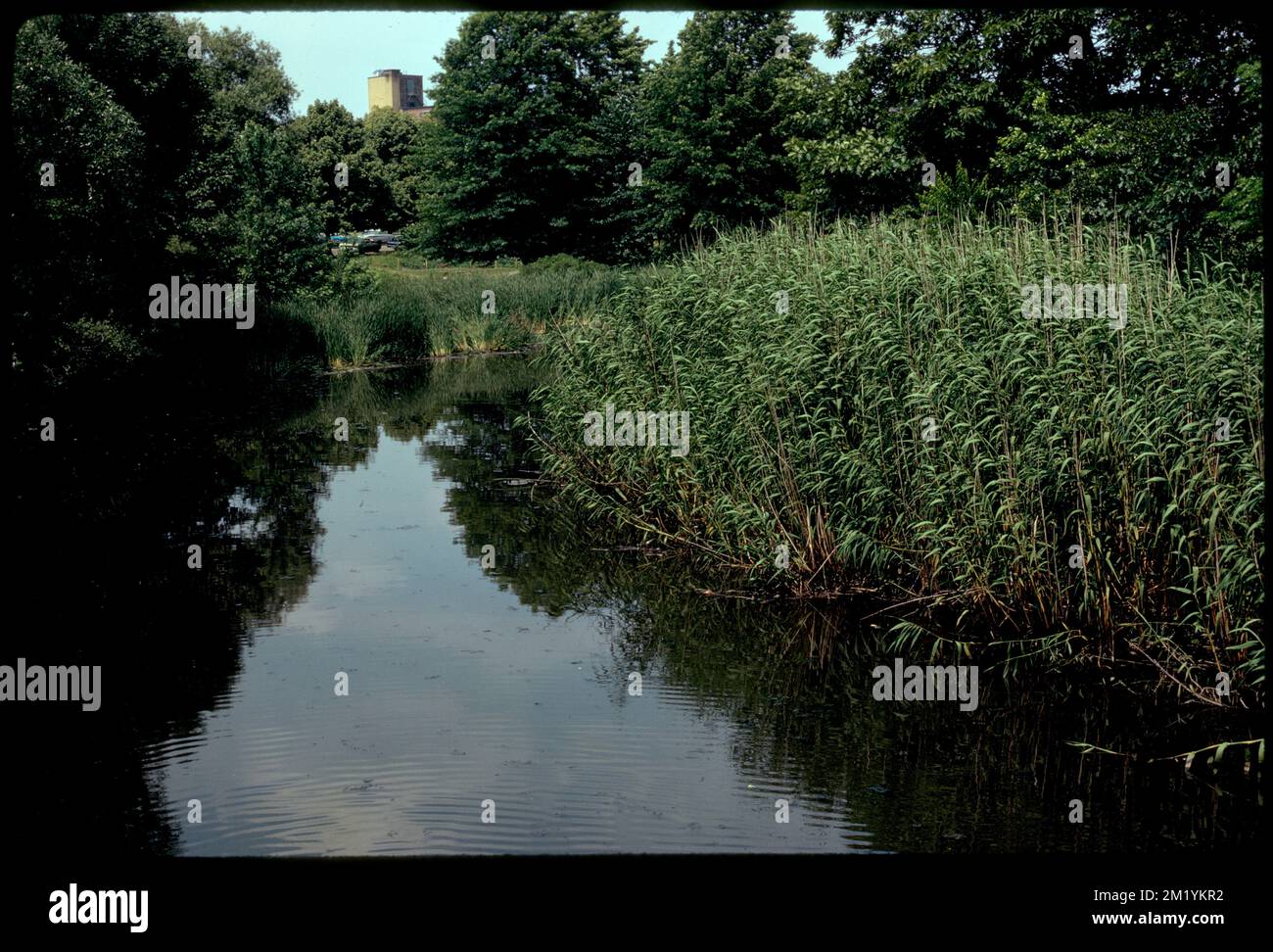 Boston Fens, Muddy River and Fenway Garden Club , Parks, Rivers ...