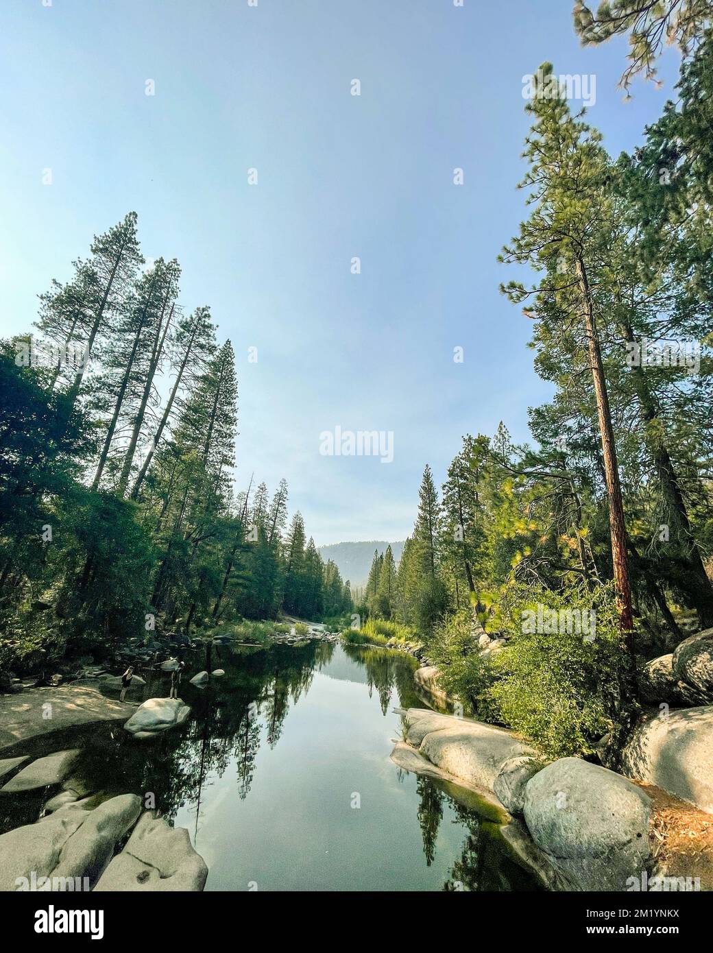 Trees and blue sky reflecting in a river Stock Photo - Alamy