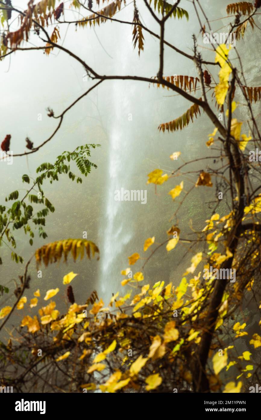 A narrow waterfall on a foggy autum day framed by trees Stock Photo - Alamy