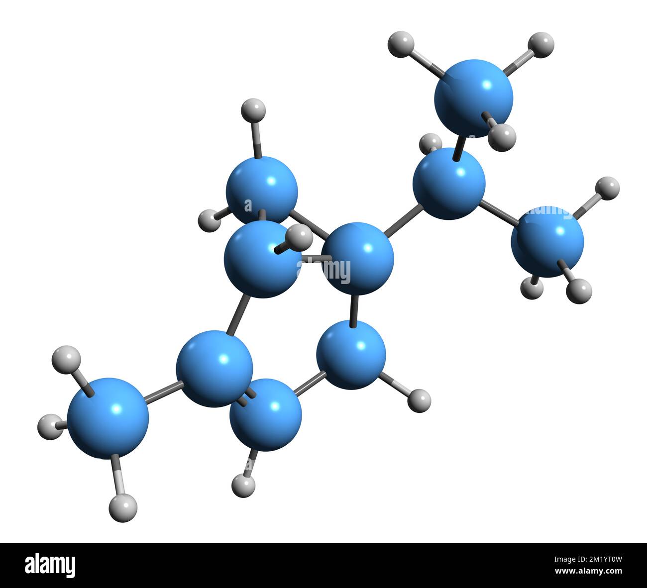 3D image of Thujene skeletal formula - molecular chemical structure of ...