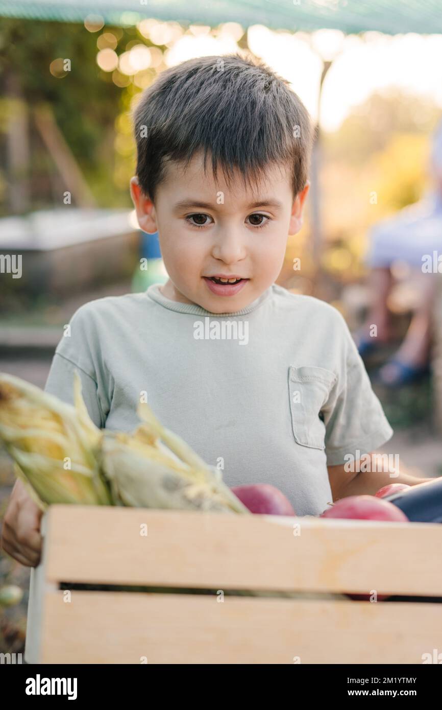 Little boy having fun in a greenhouse on sunny summer day holding a ...