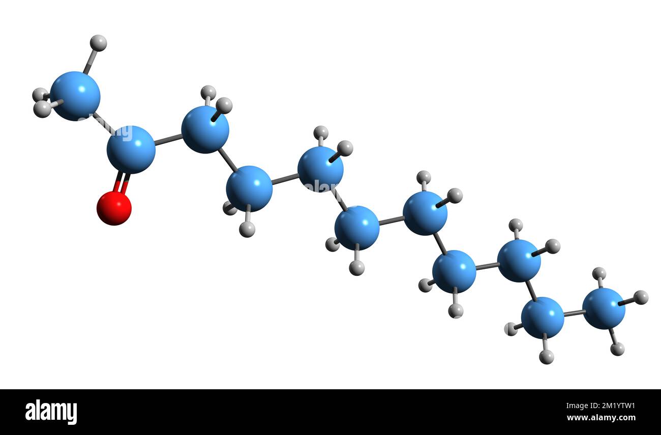 3D image of 2-Undecanone skeletal formula - molecular chemical ...