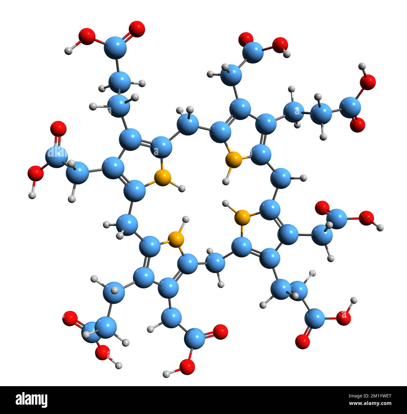 3D image of Uroporphyrinogen I skeletal formula - molecular chemical ...