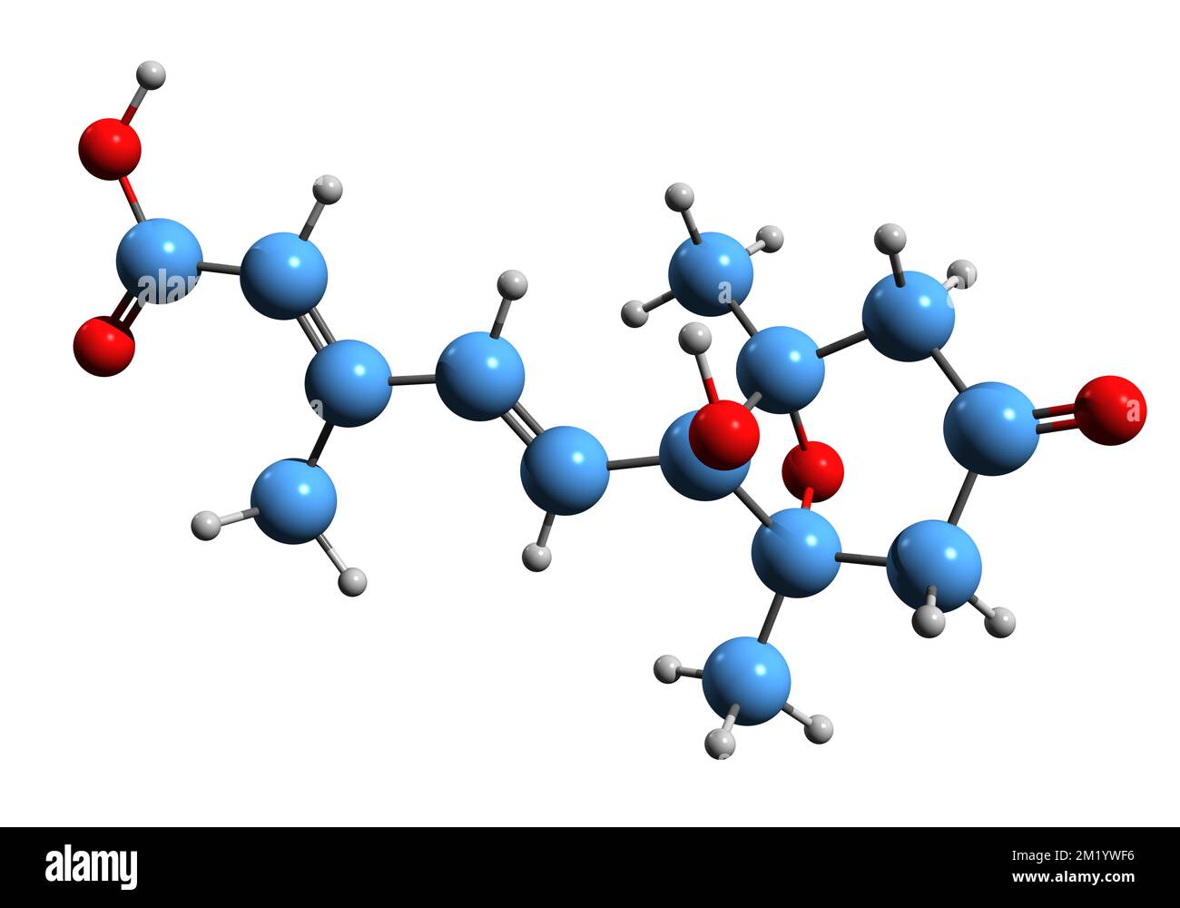 3D image of Phaseic acid skeletal formula - molecular chemical ...