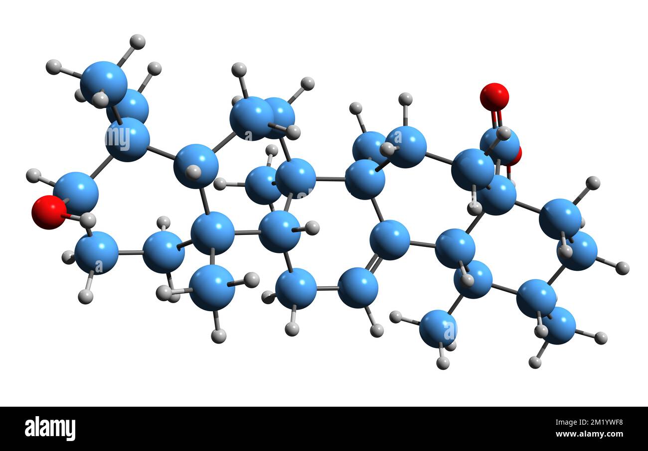 3D image of Ursolic acid skeletal formula - molecular chemical ...