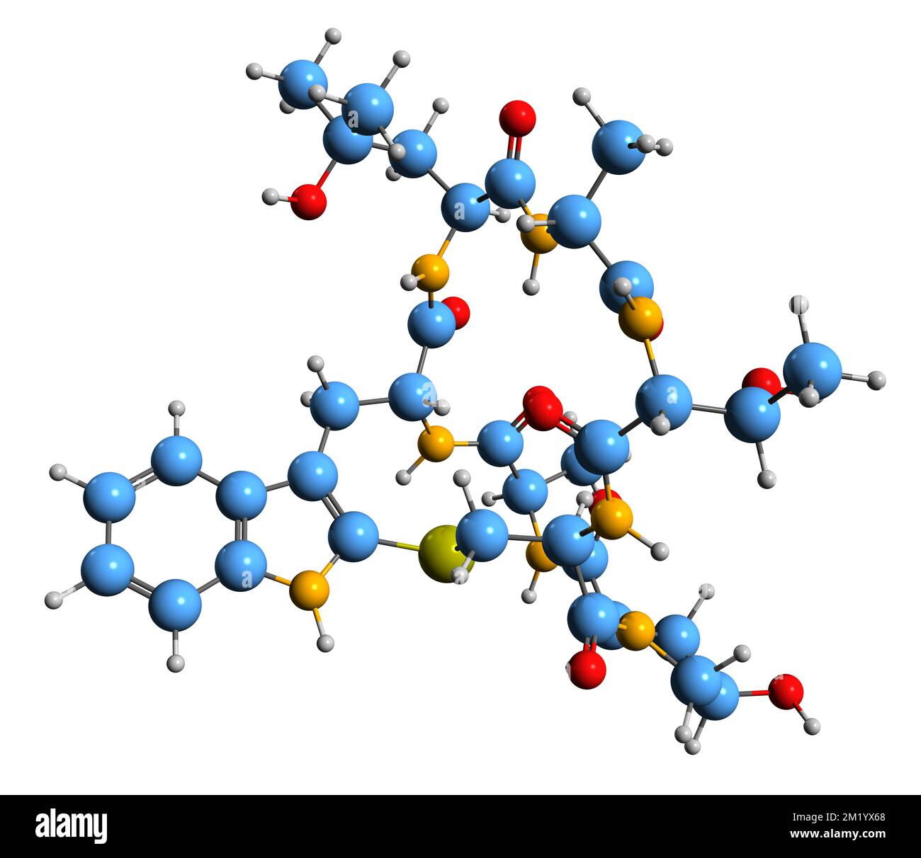 3D image of Phalloin skeletal formula - molecular chemical structure of ...
