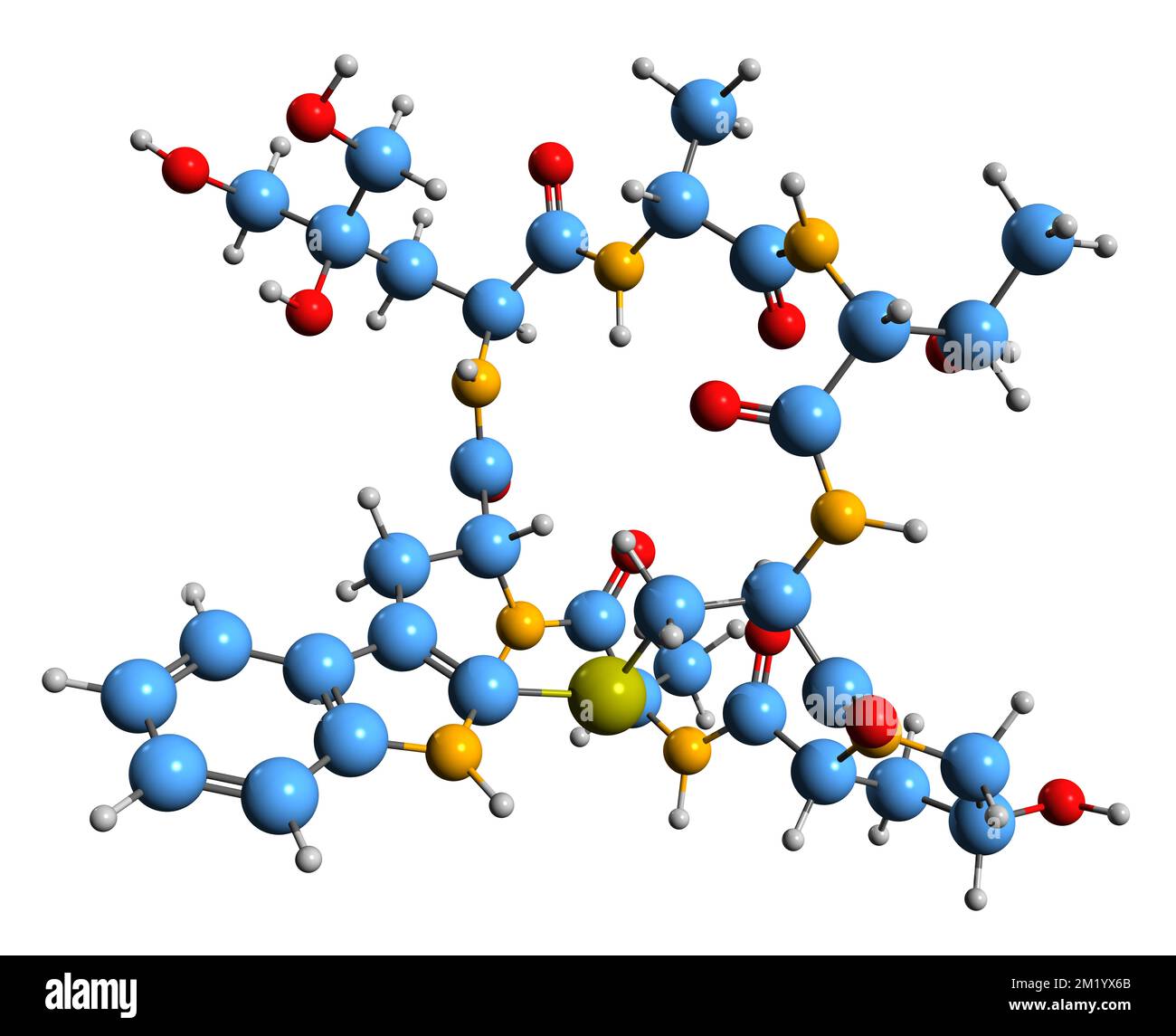 3D image of Phallisin skeletal formula - molecular chemical structure ...