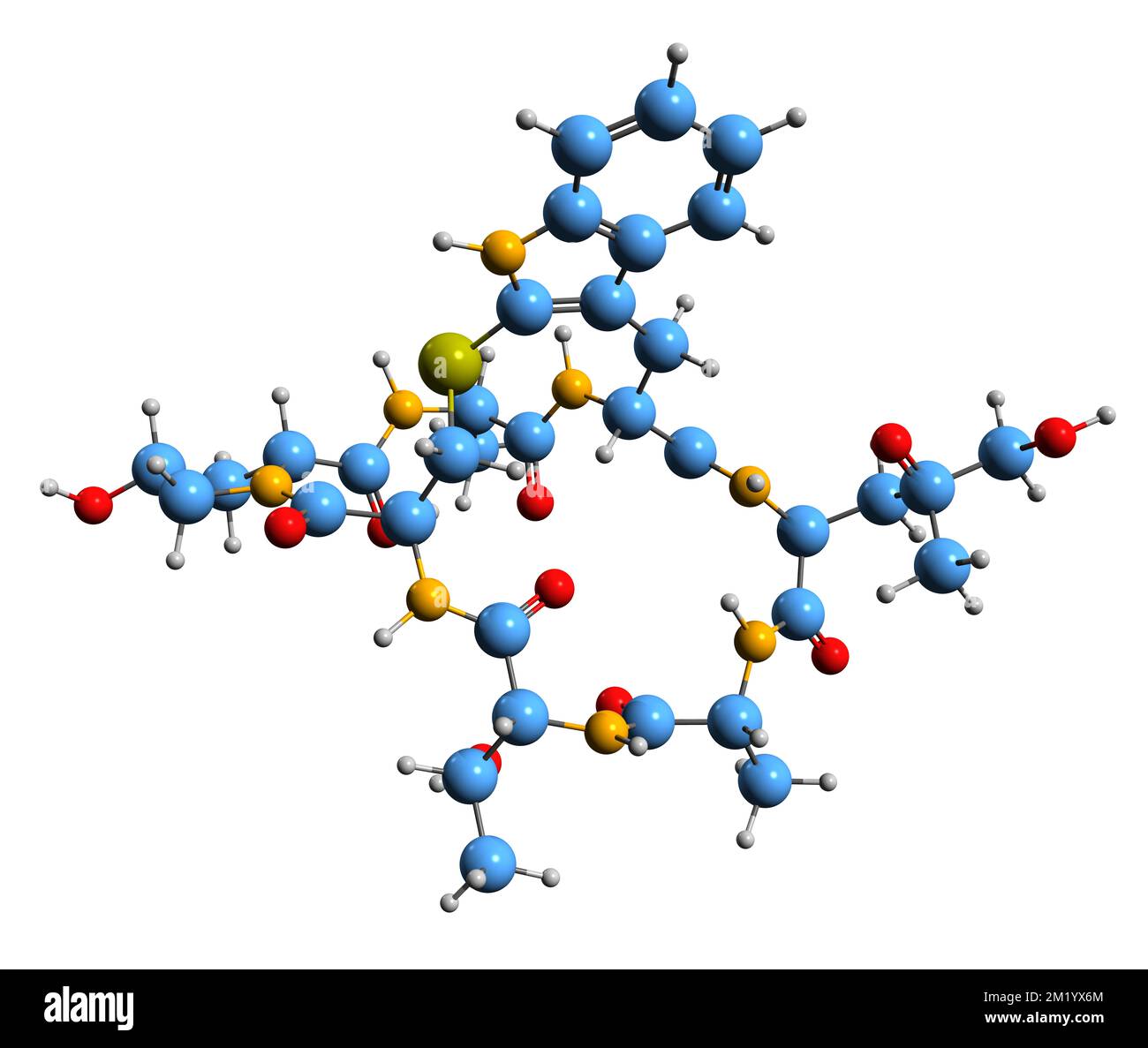 3D image of Phalloidin skeletal formula - molecular chemical structure ...