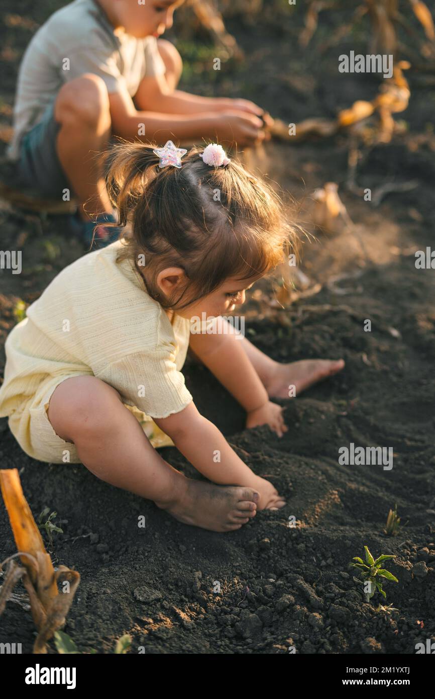 Kids digging in the ground, loosen the ground for planting seedlings ...