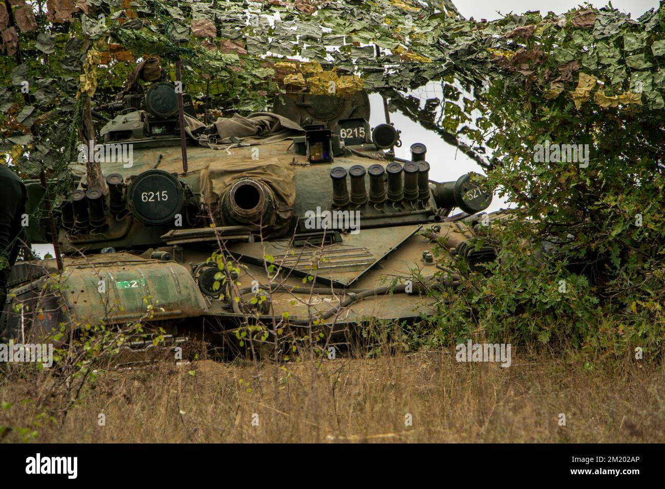 A battle tank hidden in green shrubs in a field, covered with green ...