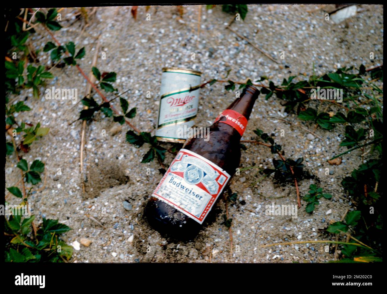 Bottle, Nantucket , Beer, Bottles, Cans. Edmund L. Mitchell Collection ...