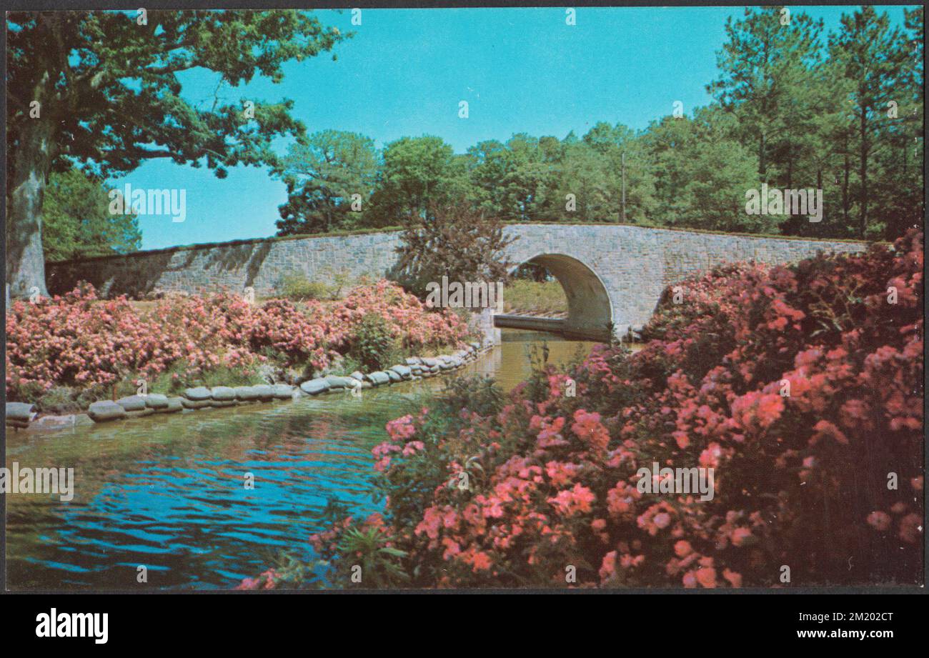 The botanical gardens, Norfolk, Virginia , Bridges, Rivers, Tichnor ...