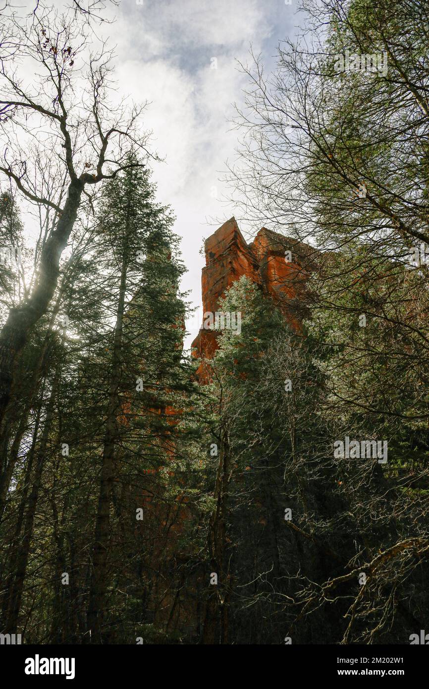 A tall, pointy, red rock surrounded by tall, narrow trees with the sun ...