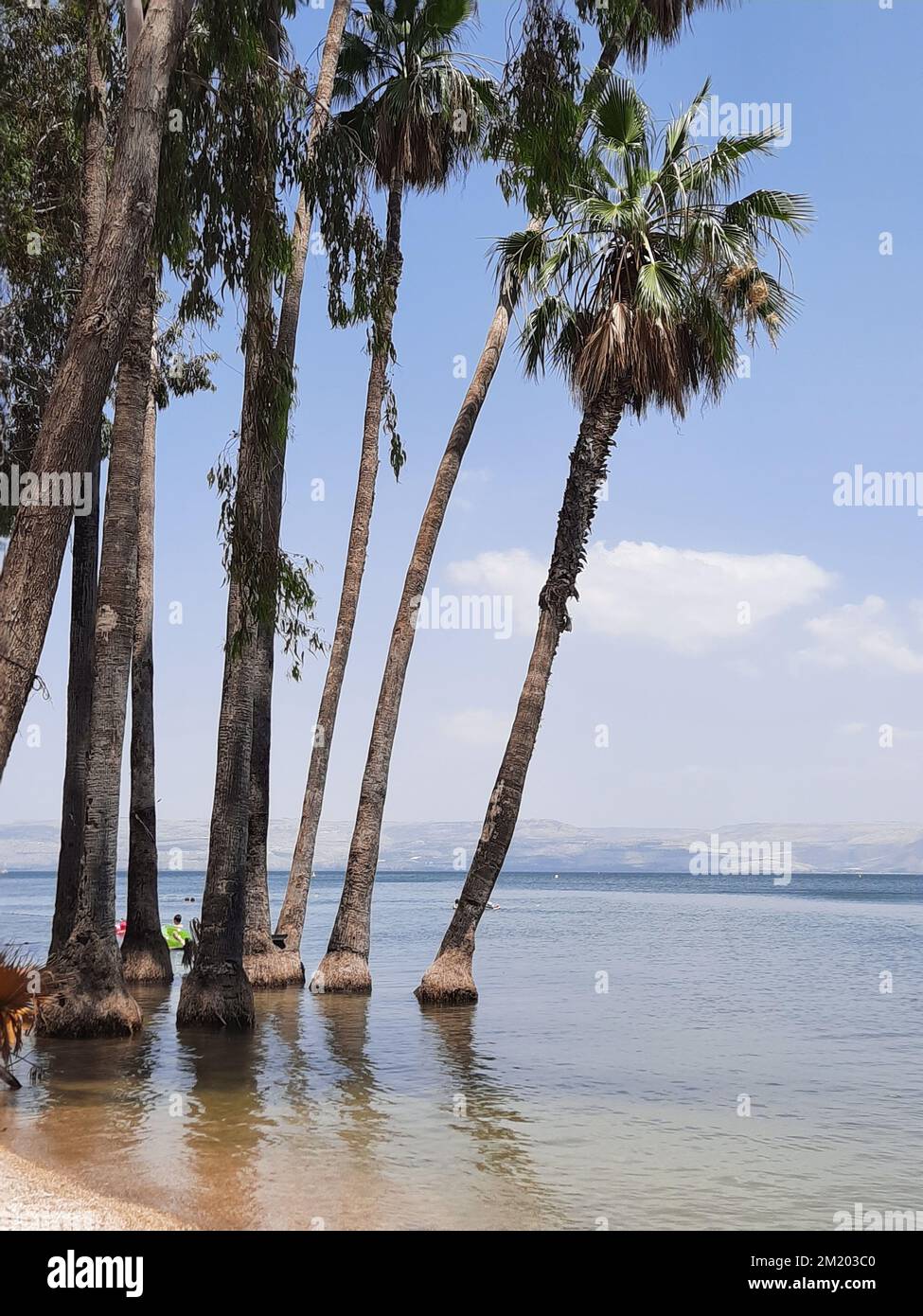 Amazing Landscapes of Israel, Views of the Holy Land Stock Photo - Alamy