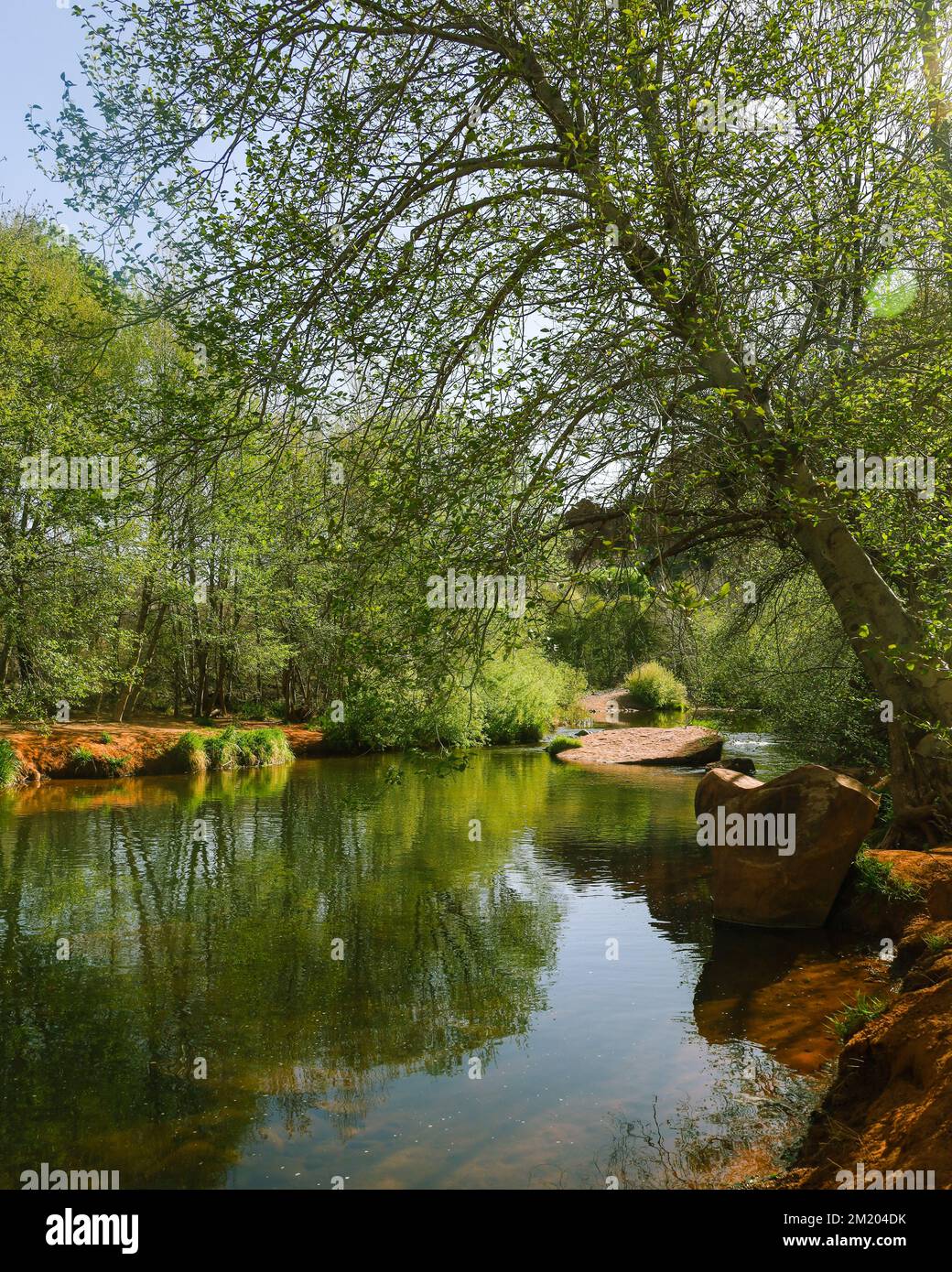 A river flowing through lush green trees Stock Photo - Alamy