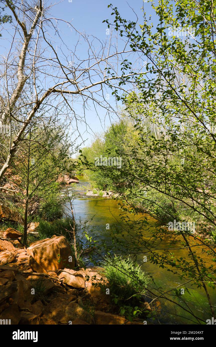Scenic hiking through lush trails hi-res stock photography and images ...