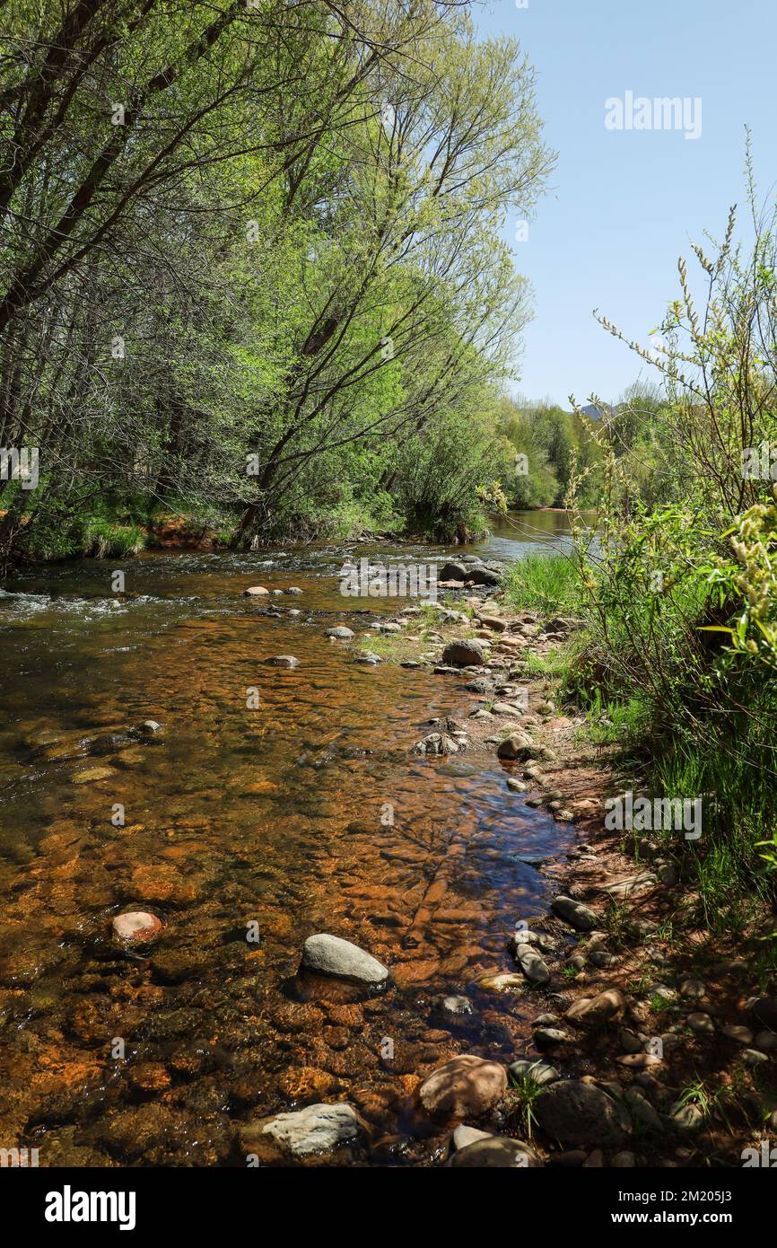 A river flowing through lush green trees Stock Photo - Alamy