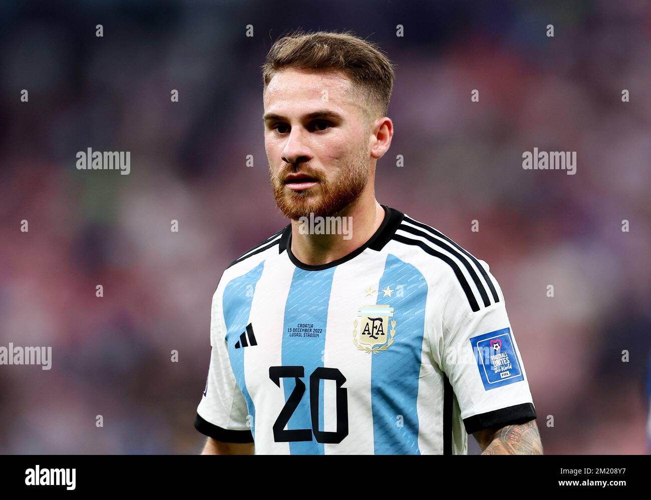 Mac allister world cup hi-res stock photography and images - Alamy