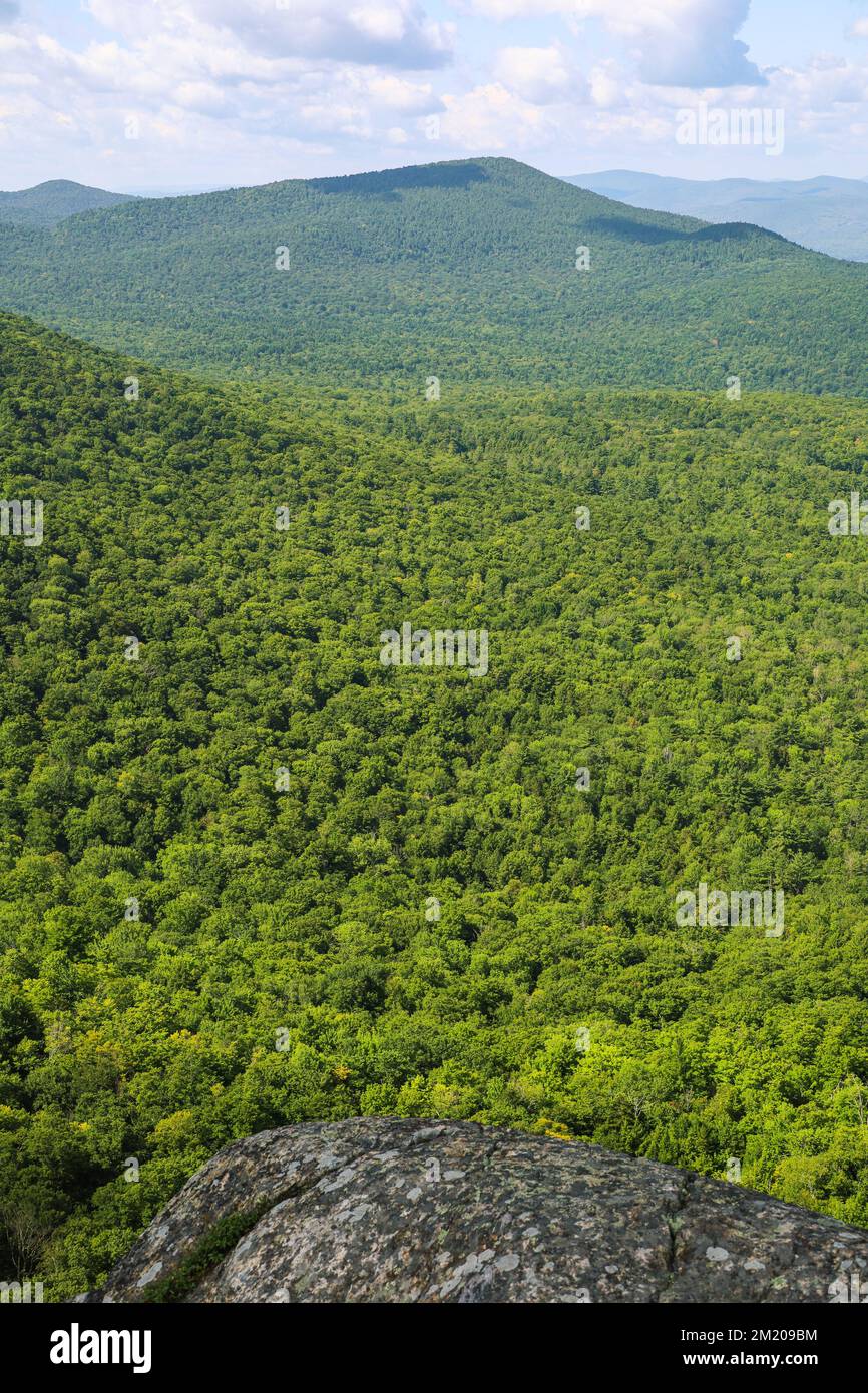 A view of green trees and mountains on a clear day in the Adirondack ...