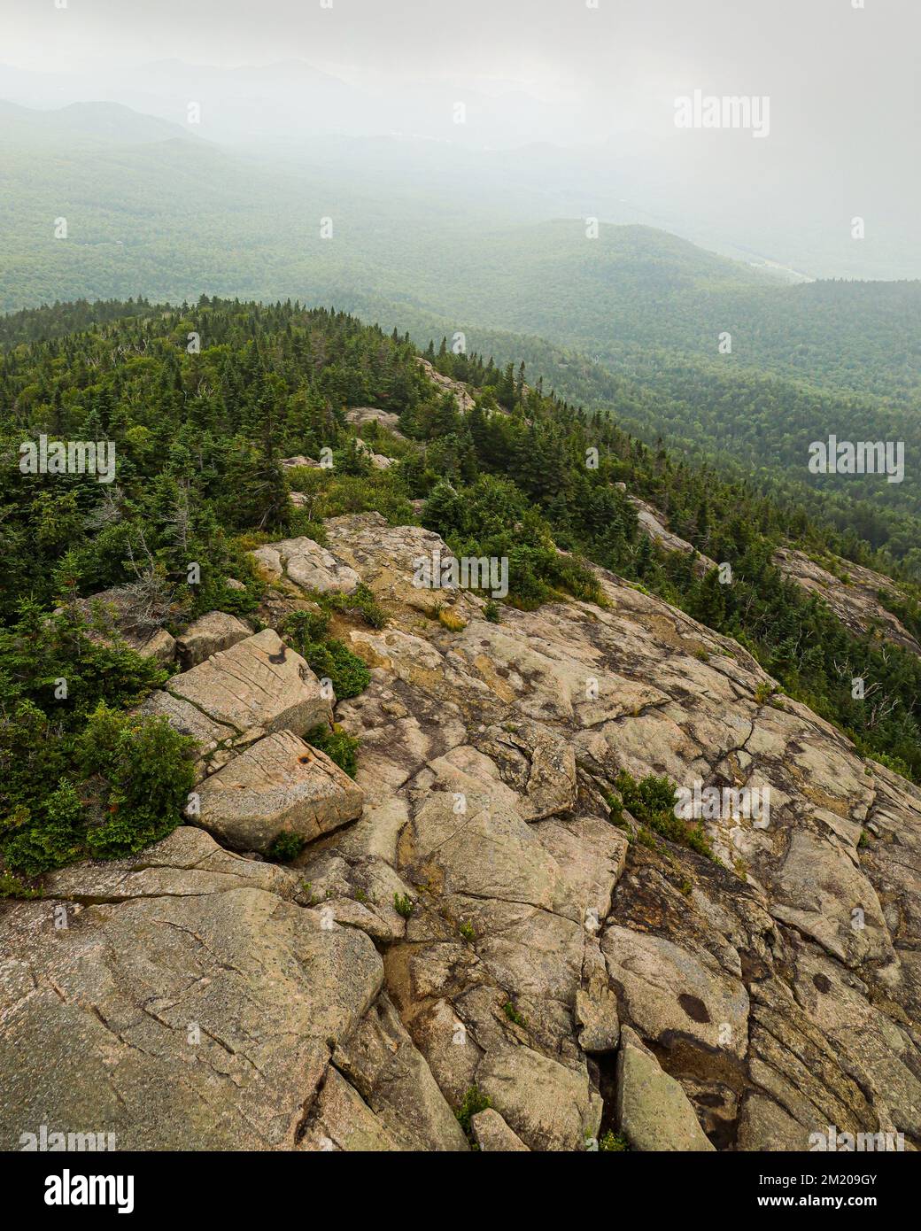 A view of green trees and mountains in the fog in the Adirondack ...