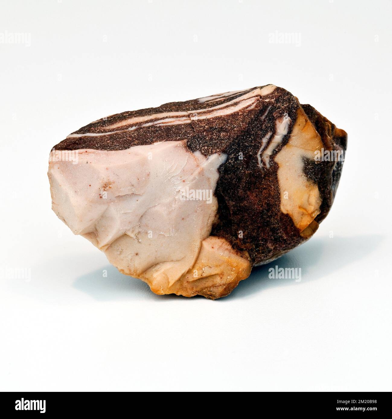 Macro close up colour photograph of Zebra Jasper a semi precious ...